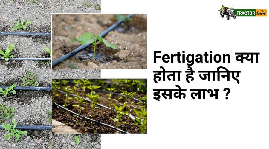 Fertigation क्या होता है, जानिए इसके लाभ?